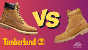 Timberland Premium Vs Basic: 9 Differences Compared [2023]