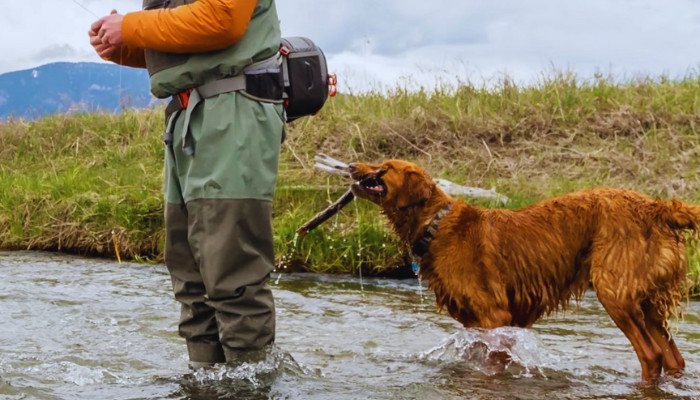 Do You Wear Socks with Waders? [Stay Cozy & Dry at Wading]