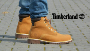 Timberland Premium Vs Basic: 9 Differences Compared [2023]
